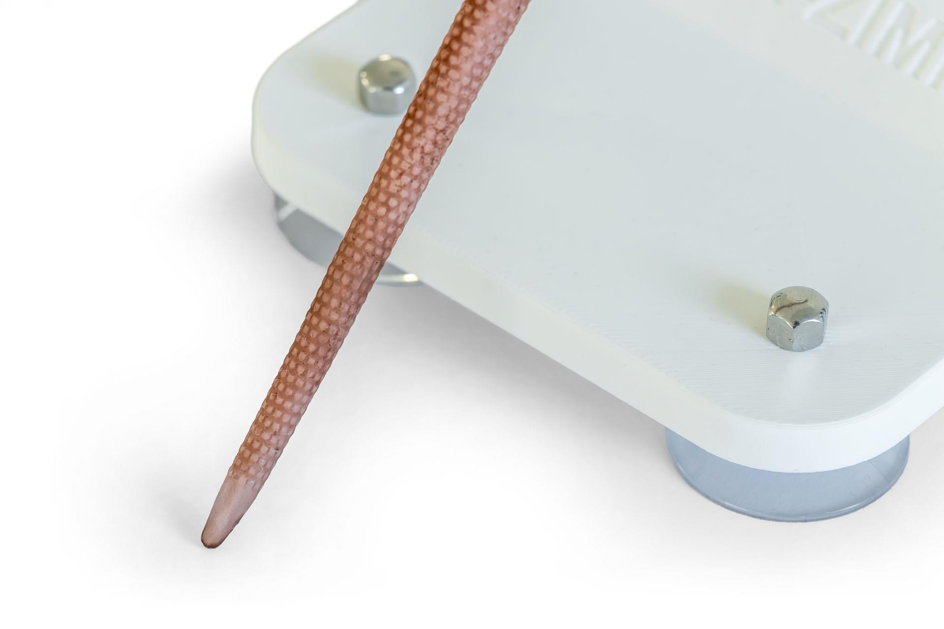 Rat Tail Vein Training Simulator | VET4250