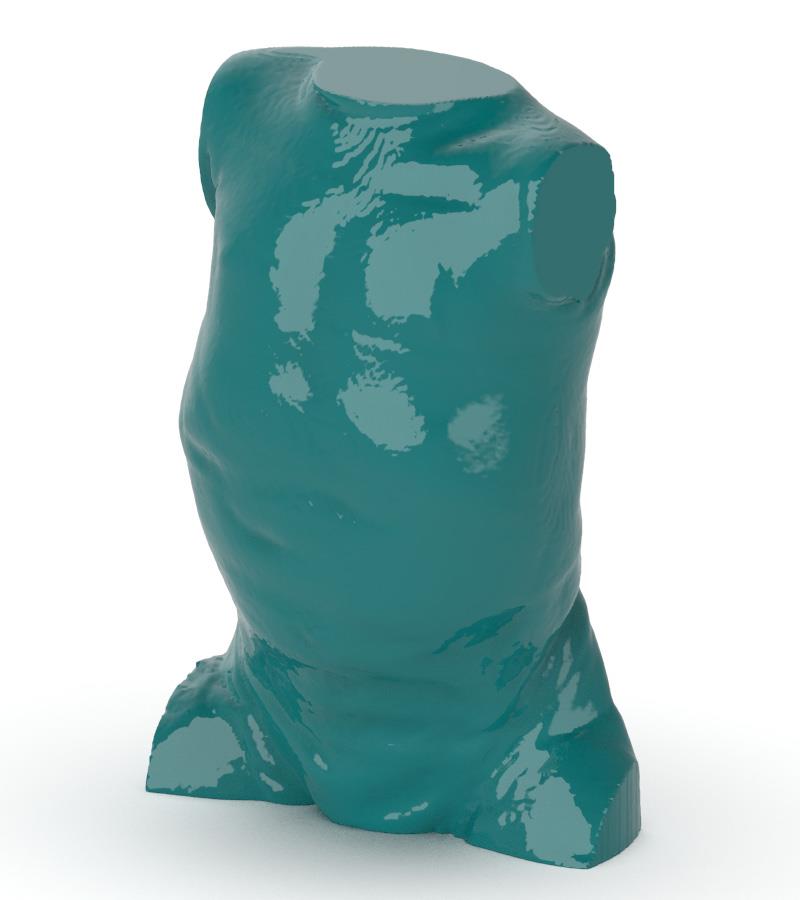 Child Torso Phantom 1-year-old | NLP3000